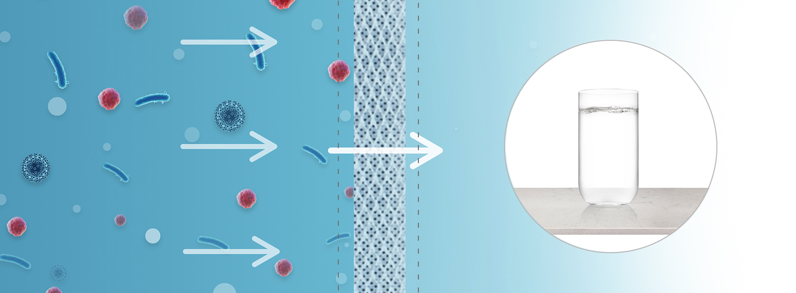 Does Your Filter Do What It Claims To Do? Advice For Zip Water Product ...